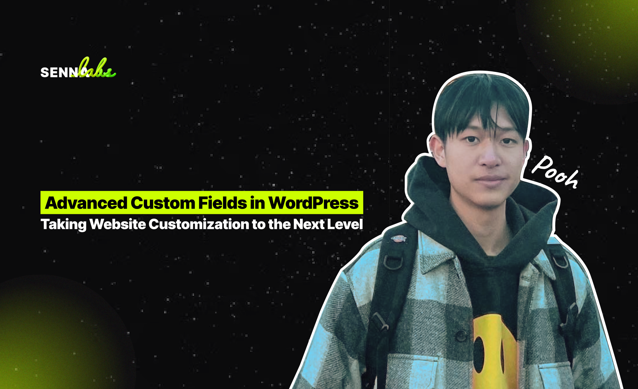 Blog - Advanced Custom Fields in WordPress: Taking Website Customization to the Next Level
